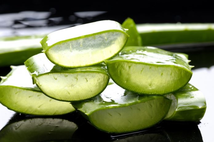 13 Home Remedies For Scabies - CoveVille